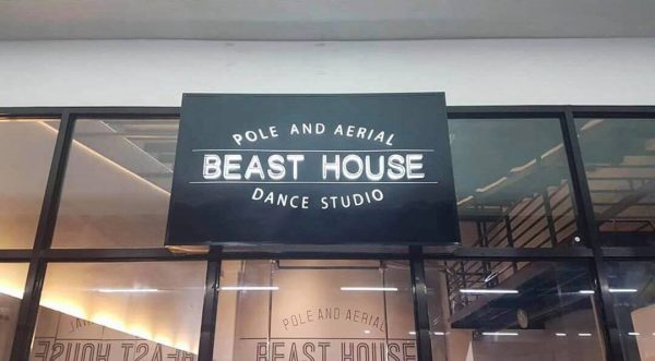 Pole, Aerial and Dance Classes with the Best Teachers | Beast House