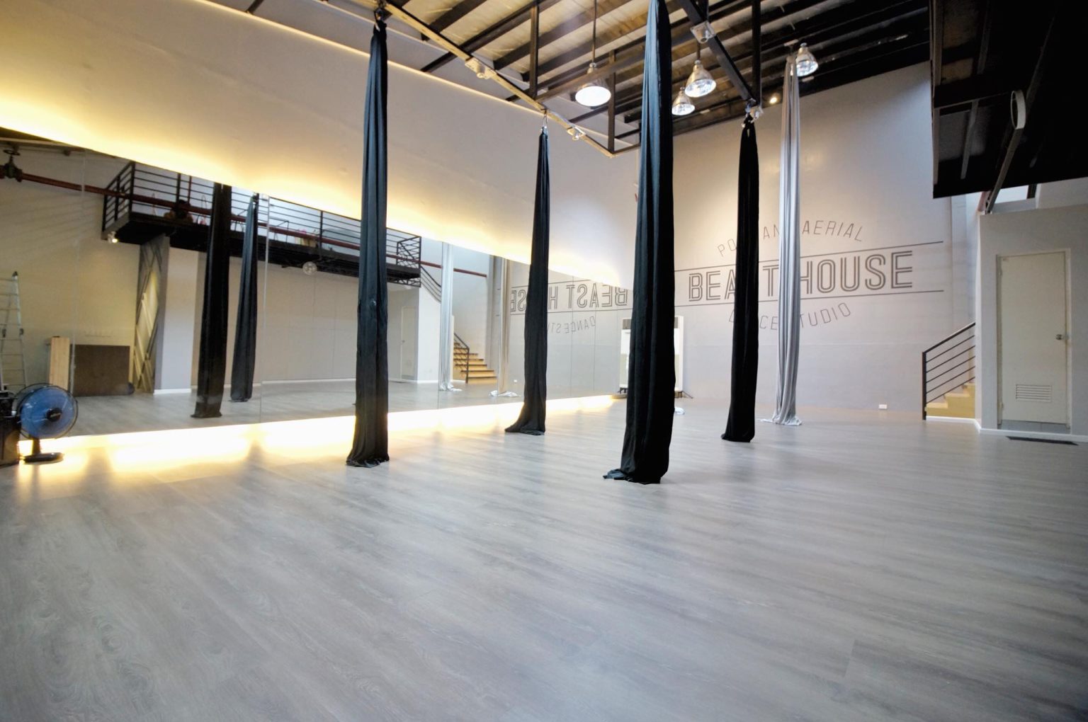 Pole, Aerial and Dance Classes with the Best Teachers | Beast House